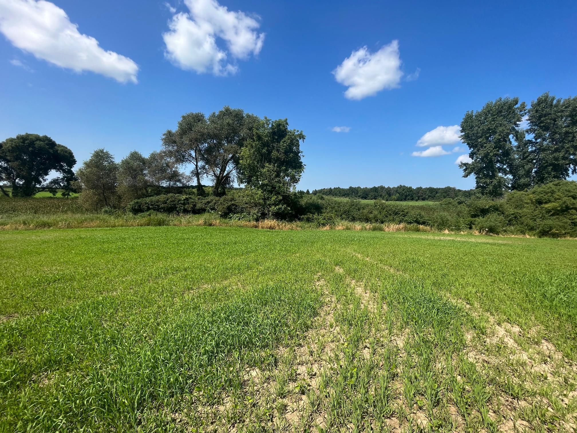 BIG BUCK LEASING || Your perfect Hunting Lease awaits...